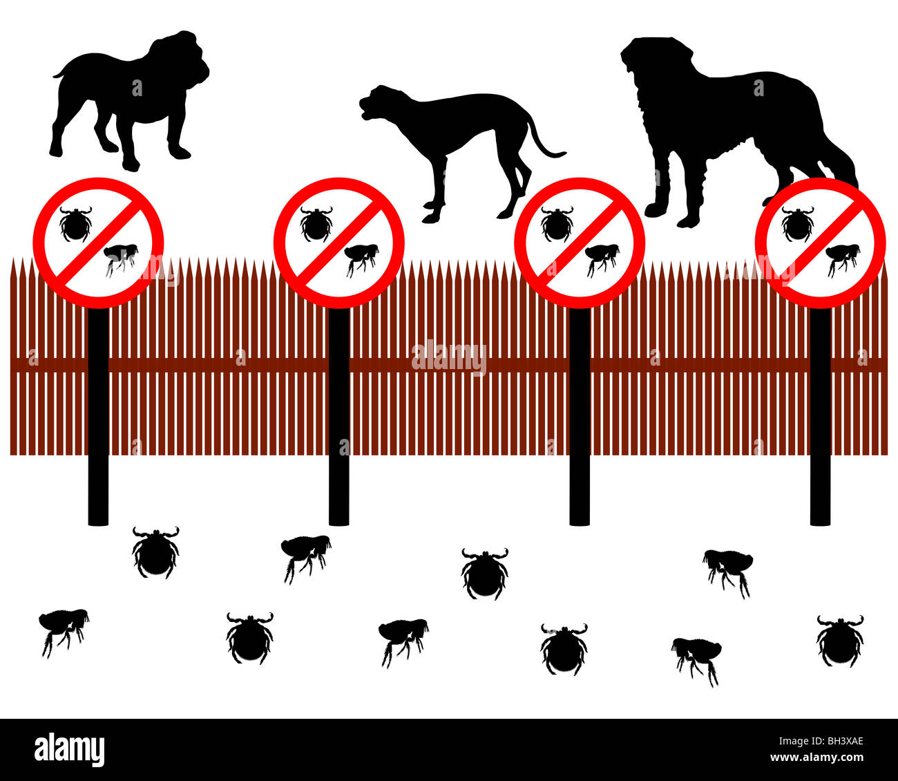 Protection against ticks hi-res stock photography and images - Alamy