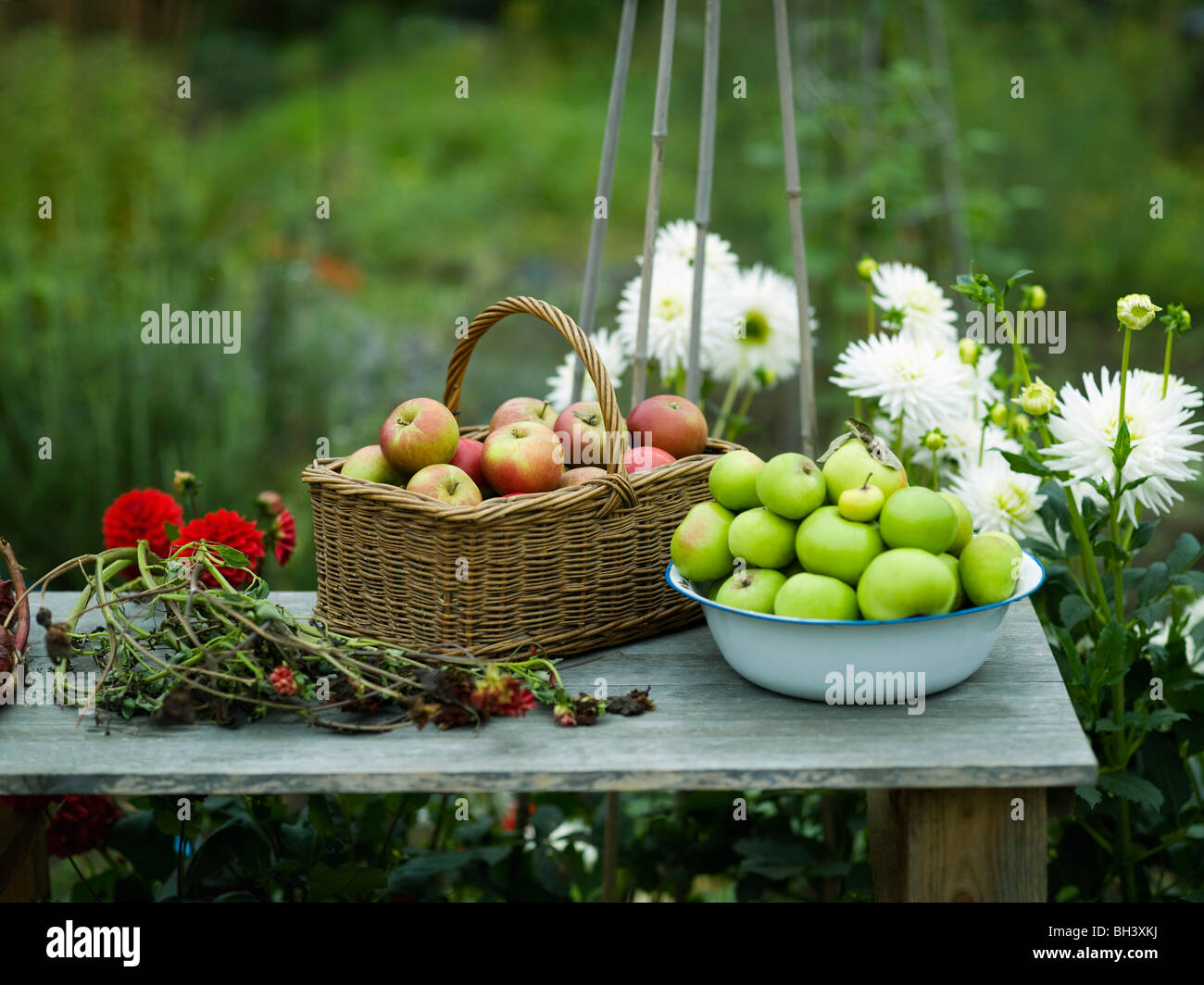 Picking selecting produce hi-res stock photography and images - Alamy