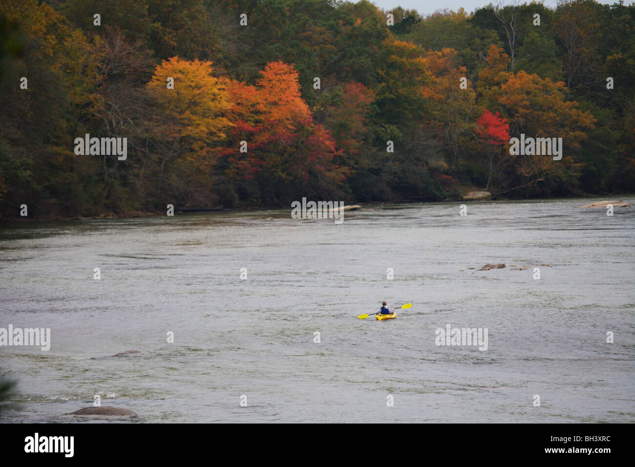 KAYAKER(S) PADDLING A RIVER ENJOYING THE FALL COLOR IN THE TREES ...