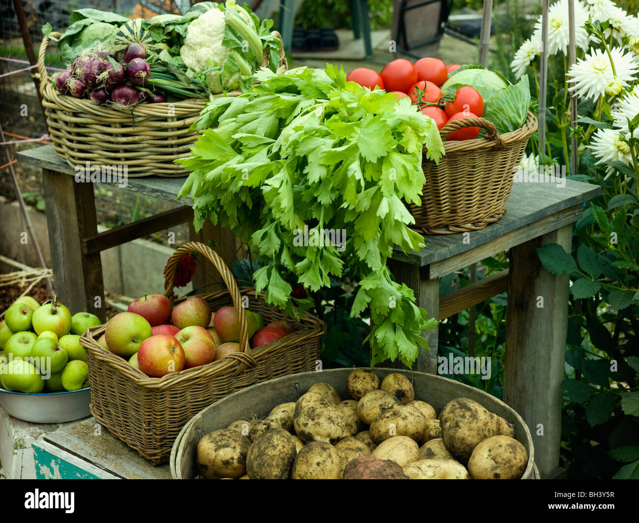 Some freshly picked produce Stock Photo - Alamy