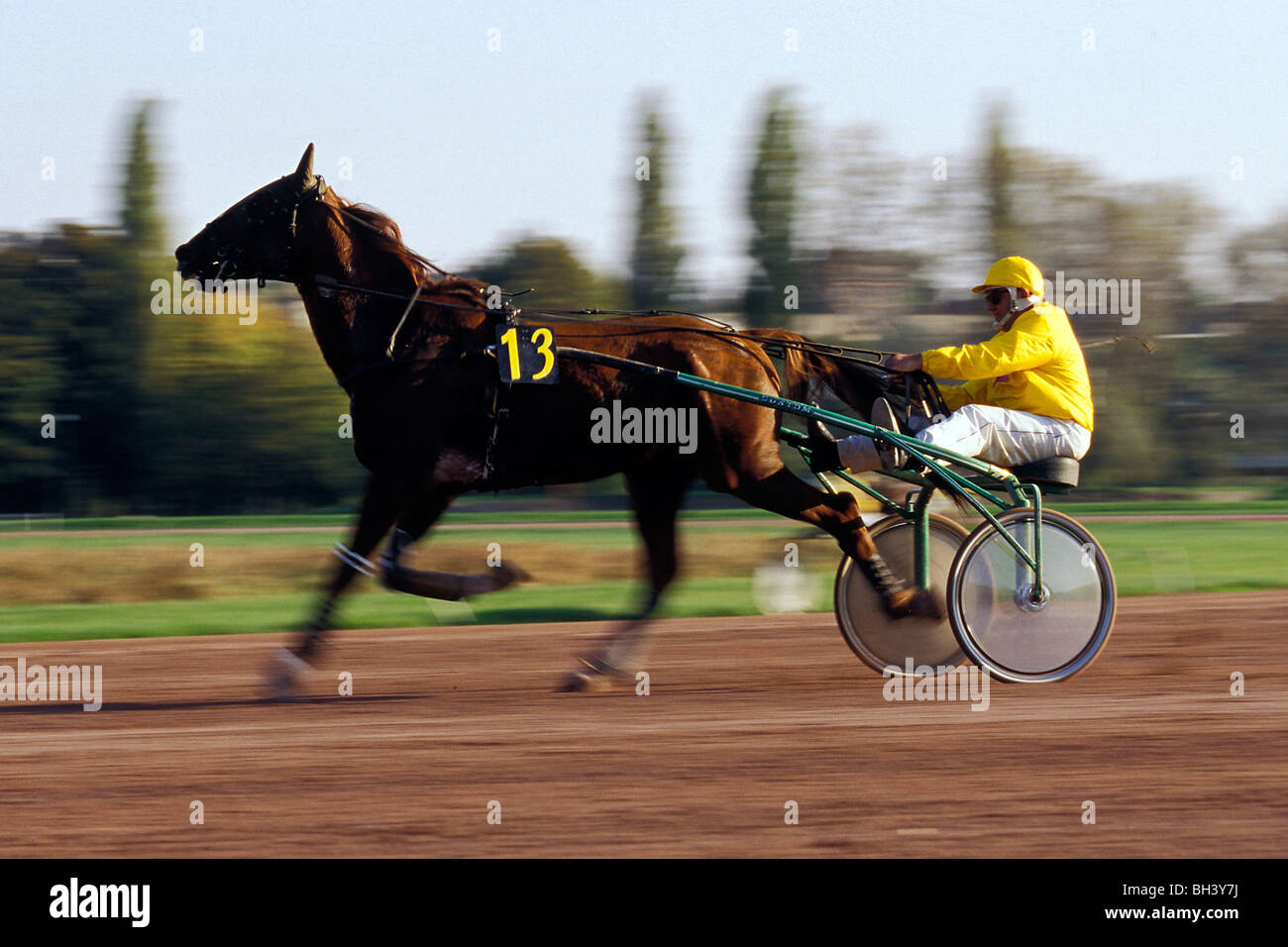 Harnessing trotting race at the caen racecourse hi-res stock ...