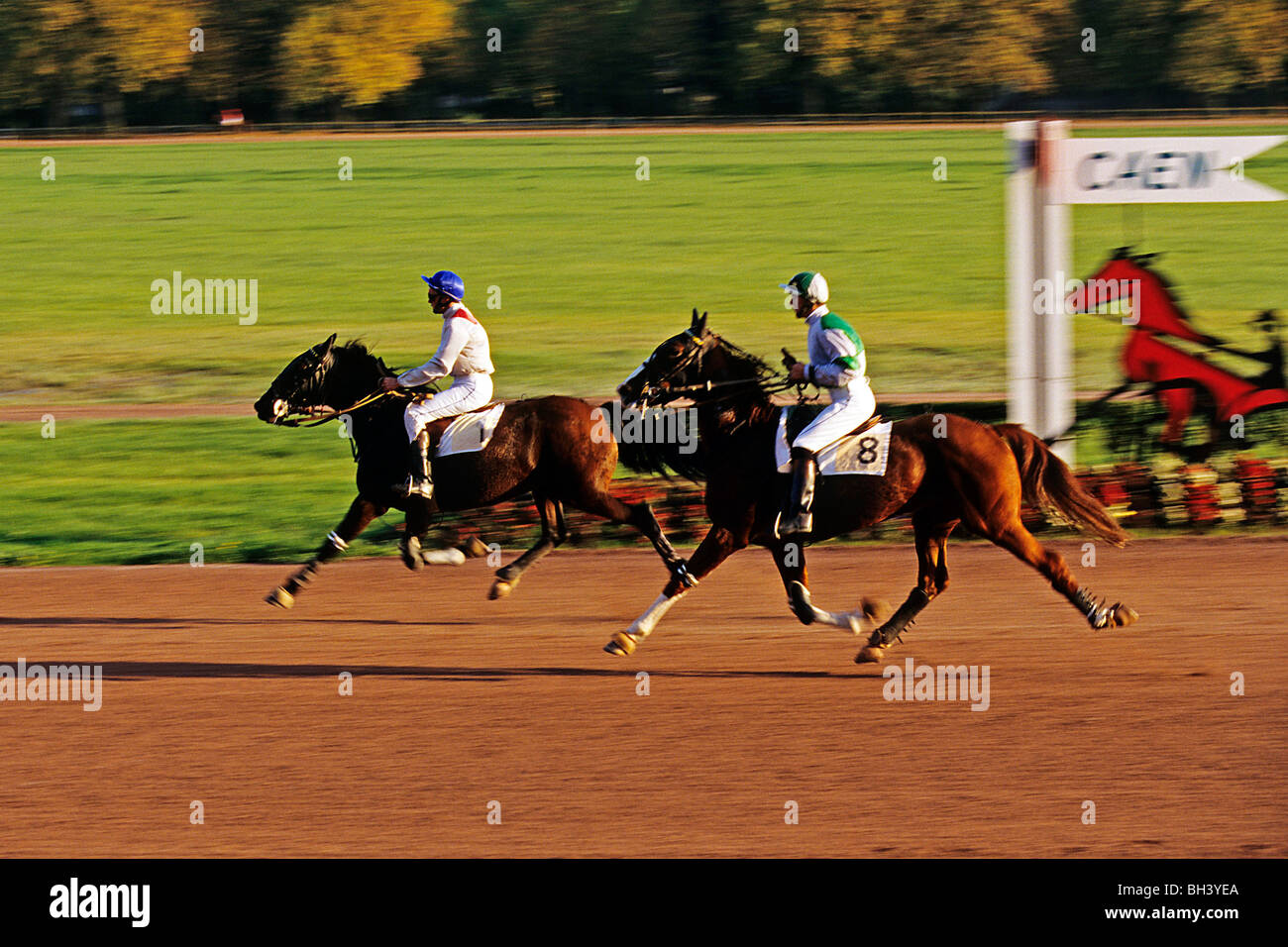 FINISH LINE, GALLOP RACE AT THE CAEN RACETRACK, CALVADOS (14), NORMANDY ...