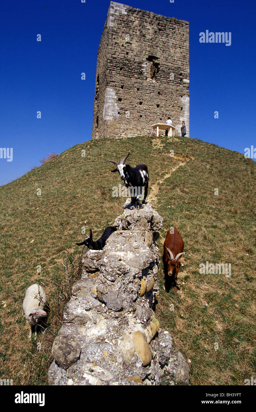 Drome goats and the albon tower hi-res stock photography and images - Alamy