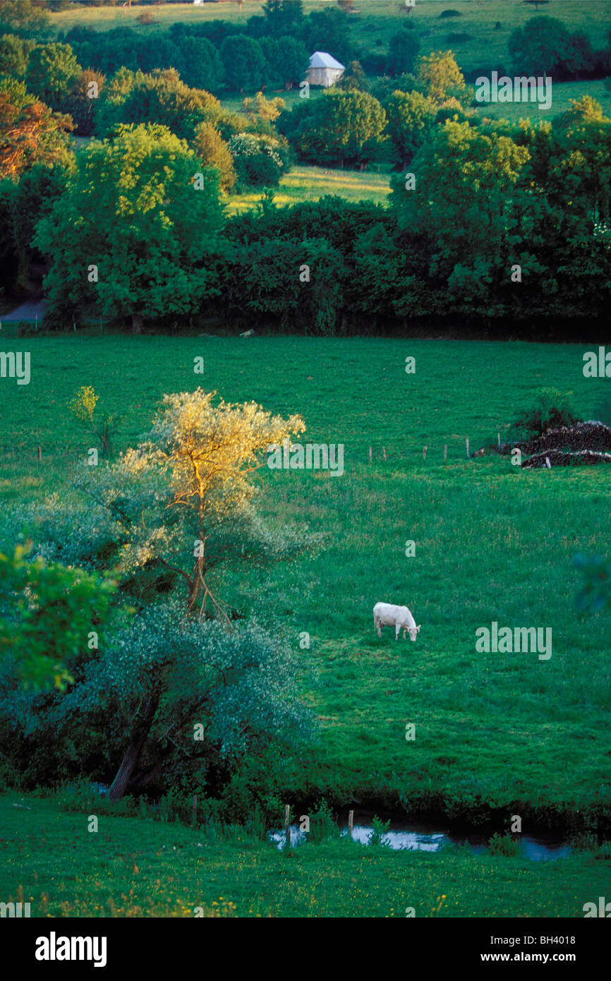 Lisieux countryside hi-res stock photography and images - Alamy