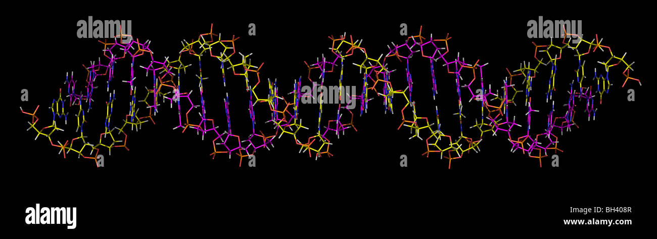 Nucleic acid nucleotides dna and rna hi-res stock photography and ...