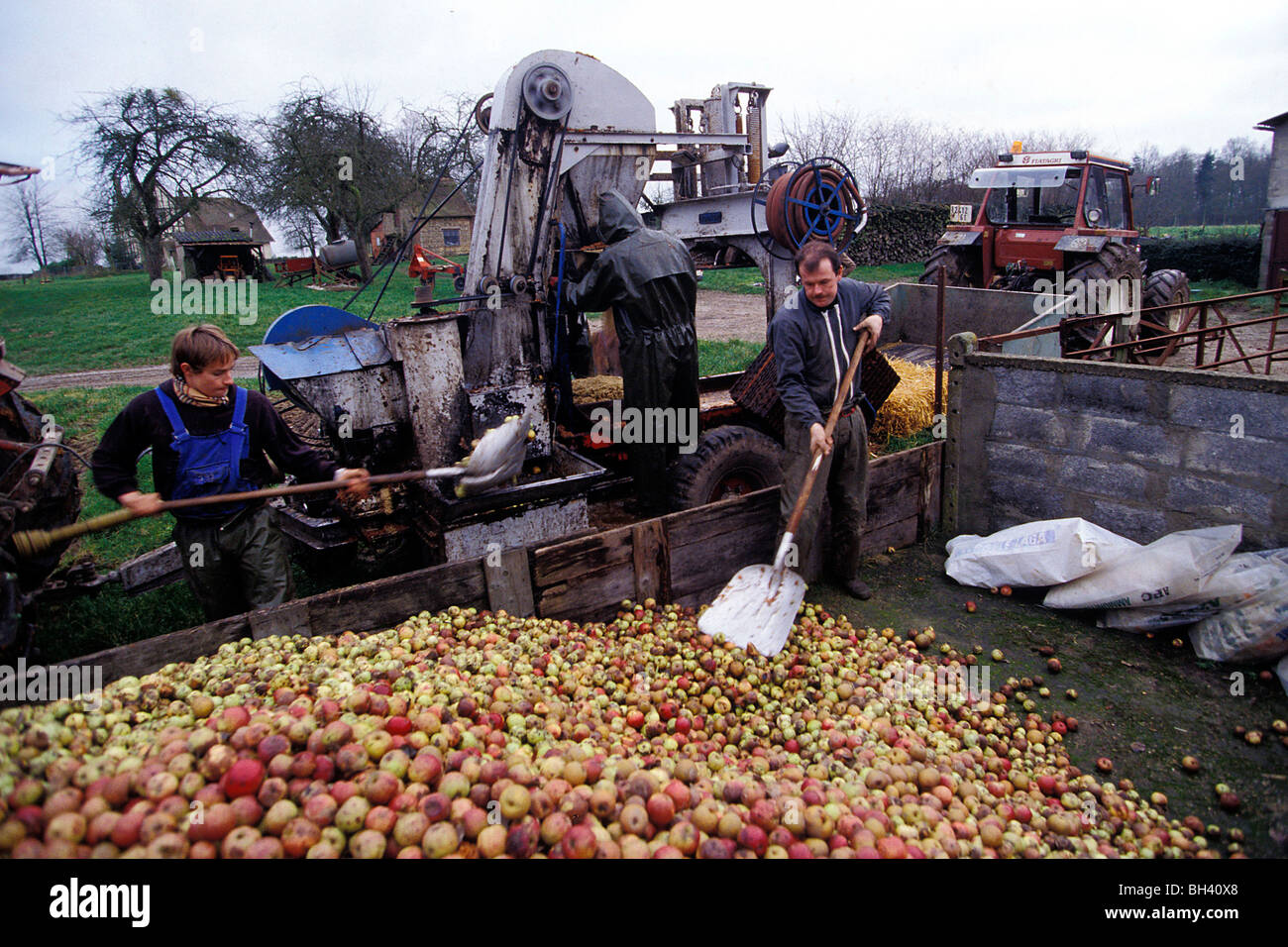 Crushing apples hi-res stock photography and images - Alamy
