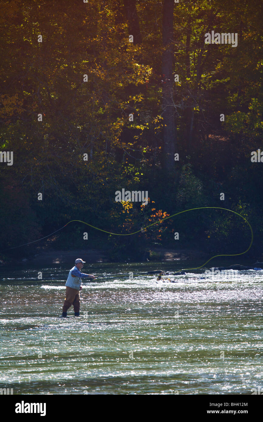 FLY FISHERMAN CASTING FISHING IN RIVER ENJOYING FALL COLOR IN THE TREES ...