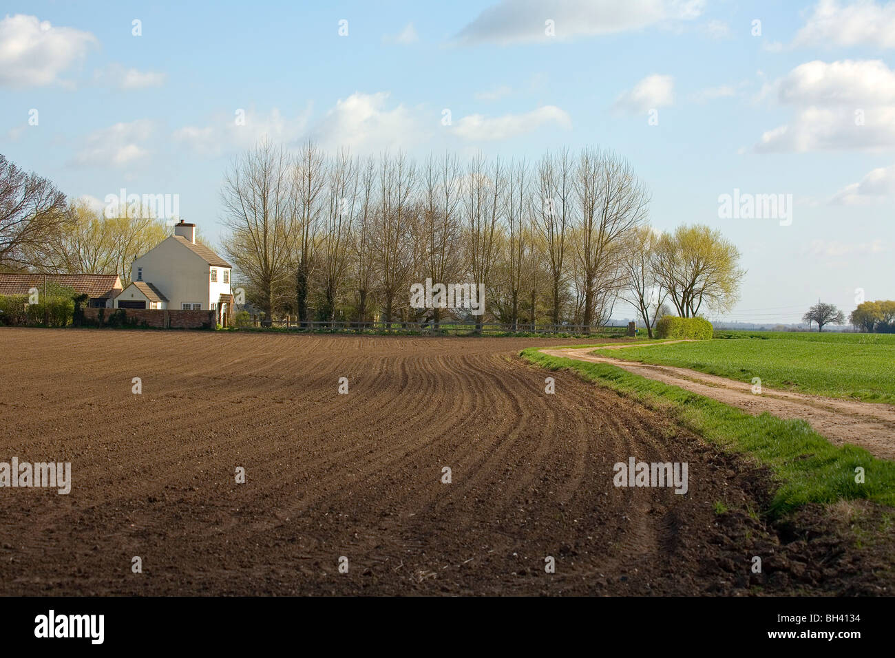 A fenland scene looking across farmland near Welney, Norfolk Stock ...