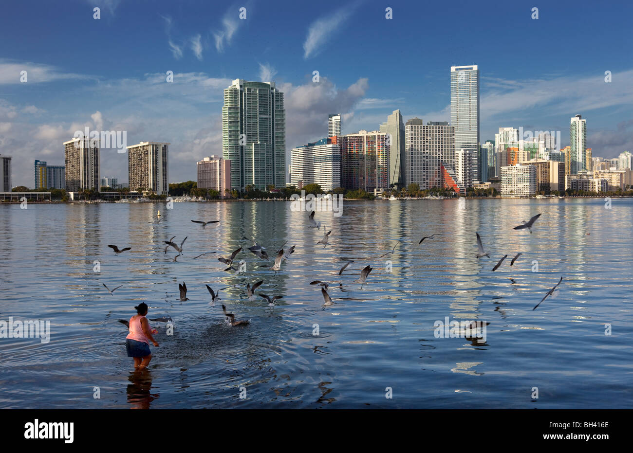 Miami Skyline & Biscayne Bay, Miami, Florida Stock Photo - Alamy