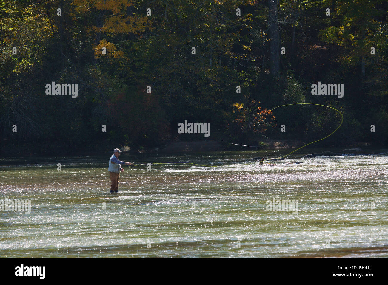 FLY FISHERMAN CASTING FISHING IN RIVER ENJOYING FALL COLOR IN THE TREES ...