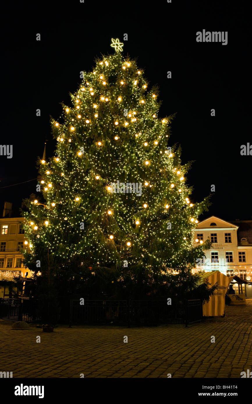 Tree old tallinn hi-res stock photography and images - Alamy