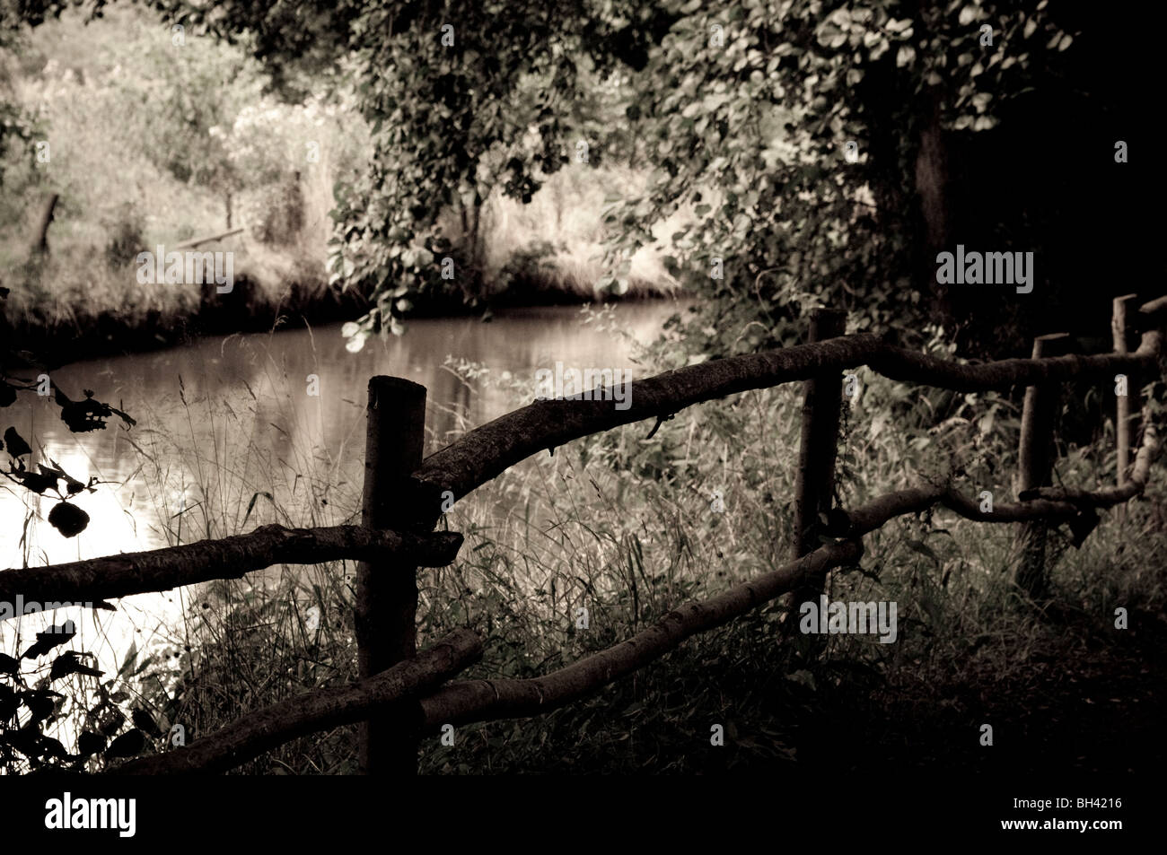 Enchanted Forest, Groombridge, Kent, UK Stock Photo - Alamy