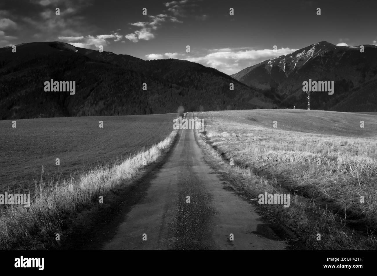 Field road on Dolinky meadows, Liptov, Slovakia with West tatras sierra ...