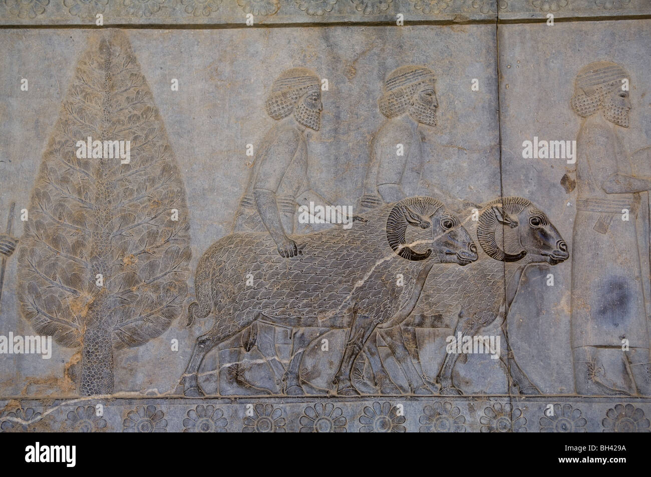 IRAN, Persepolis , Takht-e Jamshid ,The ceremonial capital of the ...