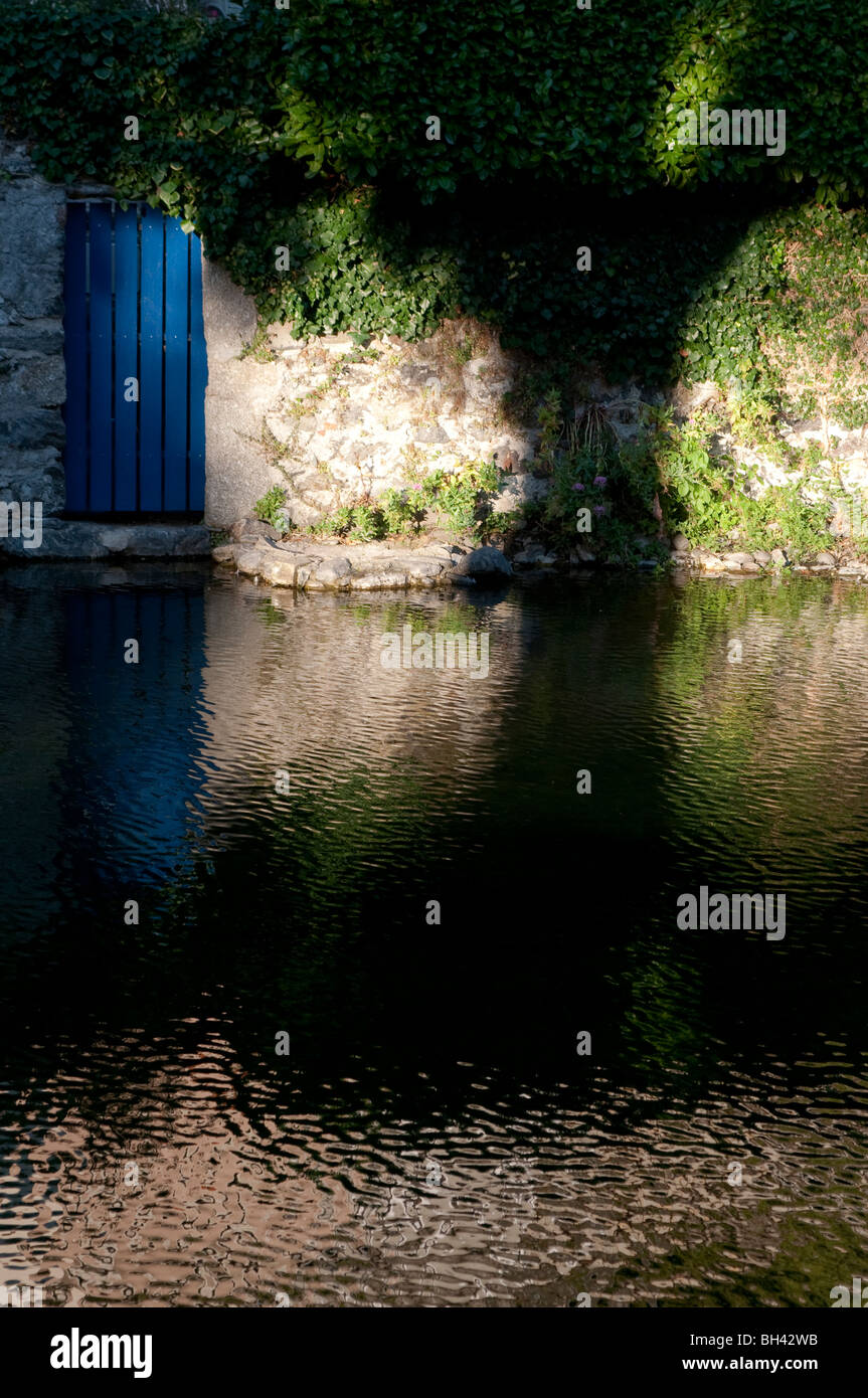 Tree shadow in water hi-res stock photography and images - Alamy