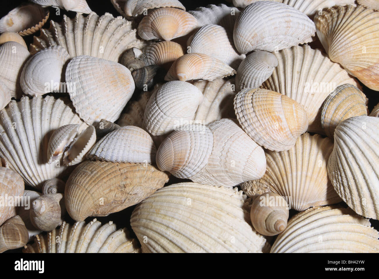 Jumble Stock Photos & Jumble Stock Images - Alamy