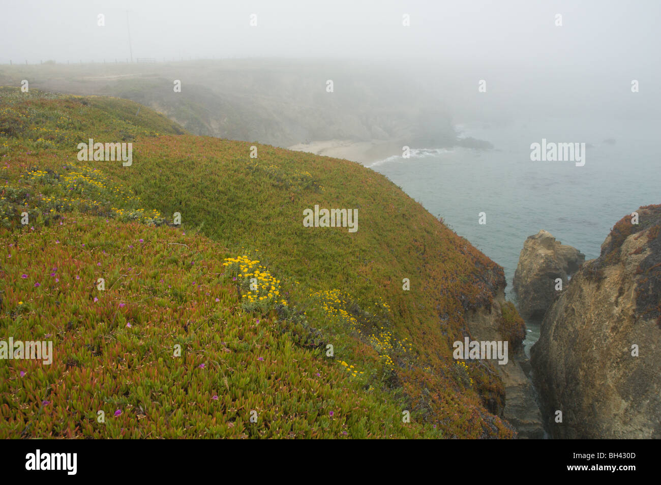 Pigeon Point light house, California, USA Stock Photo - Alamy