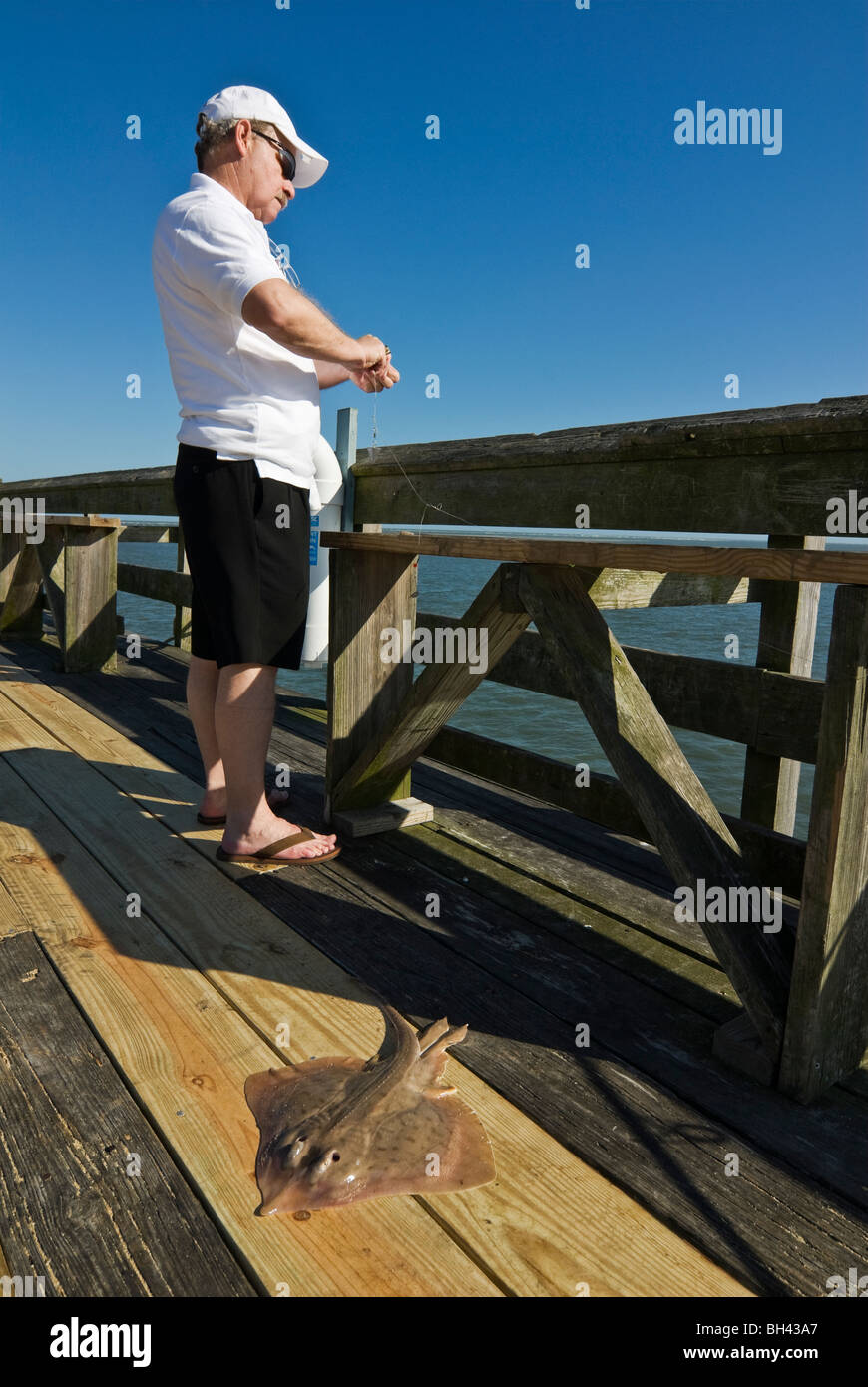 A fisherman stands on a pier next to his catch, a stingray, on Hunting ...