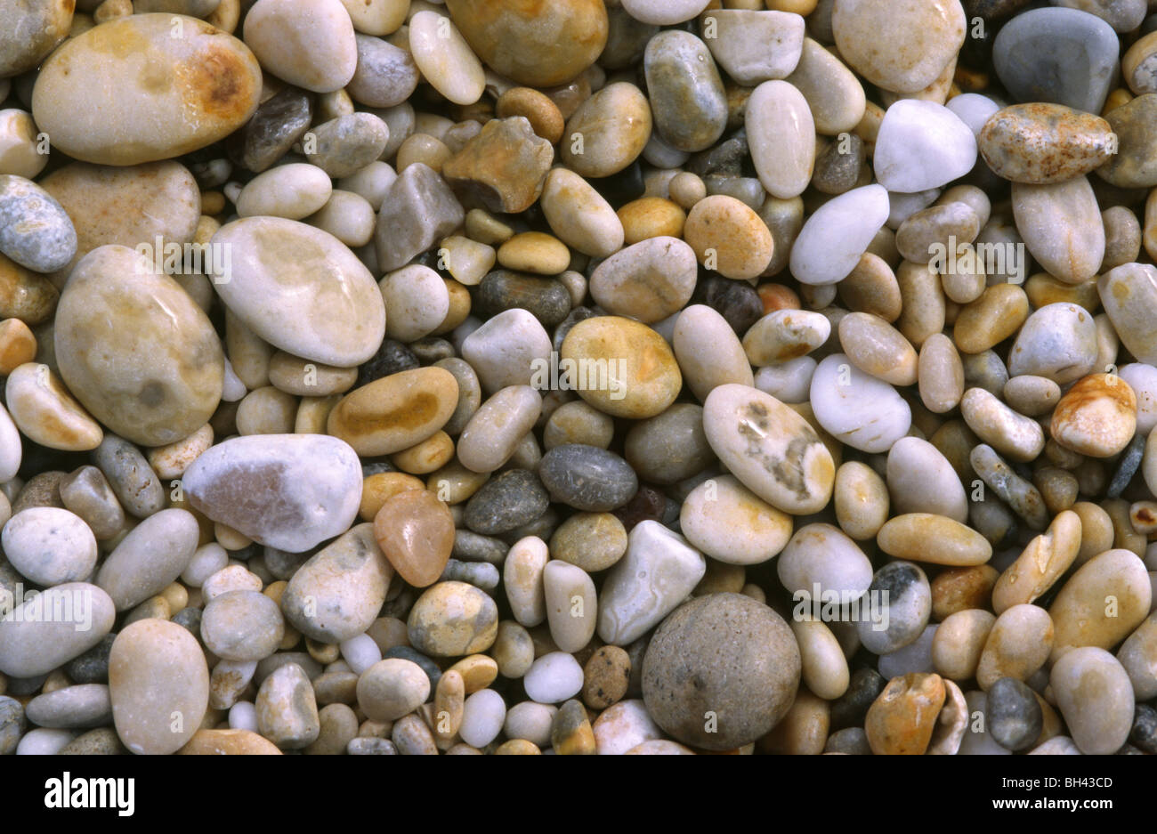 Close up image of coloured pebbles on beach Stock Photo - Alamy