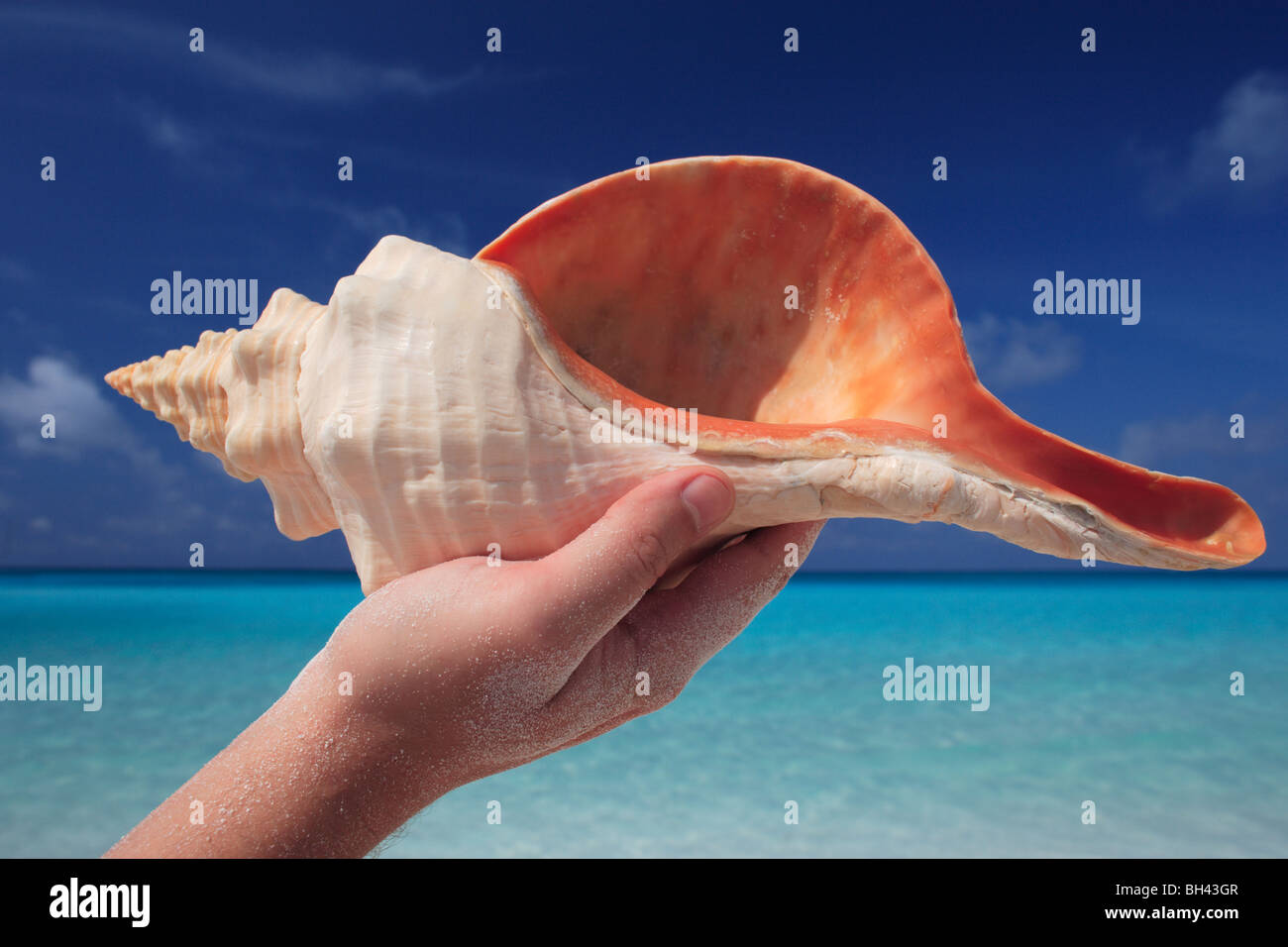 Man holding out tropical hi-res stock photography and images - Alamy