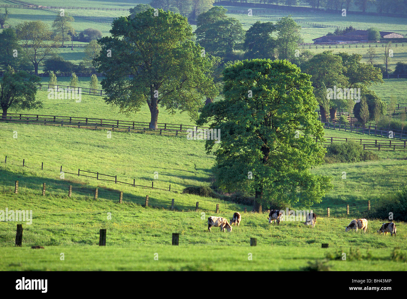Normandie bocage hi-res stock photography and images - Alamy