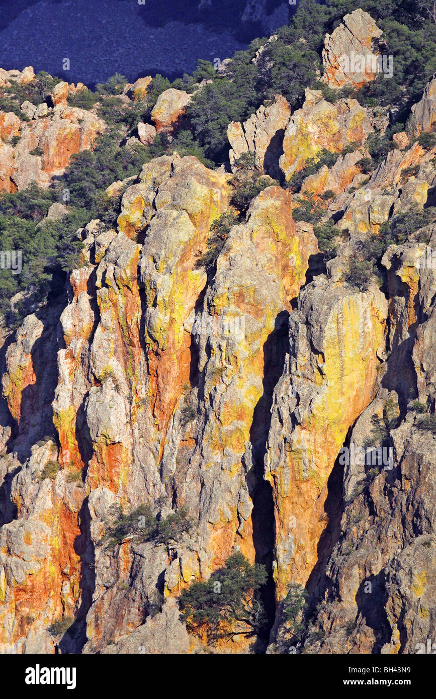 Lichen covered Rhyolite cliffs in the Chiricahua Mountains Stock Photo ...