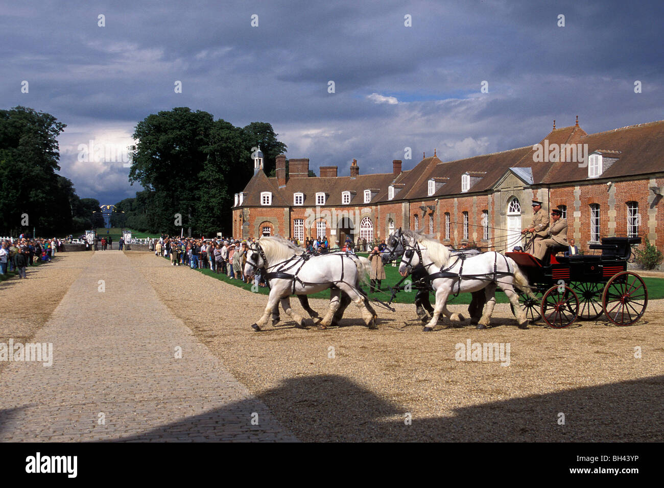 Percheron horse show hi-res stock photography and images - Alamy