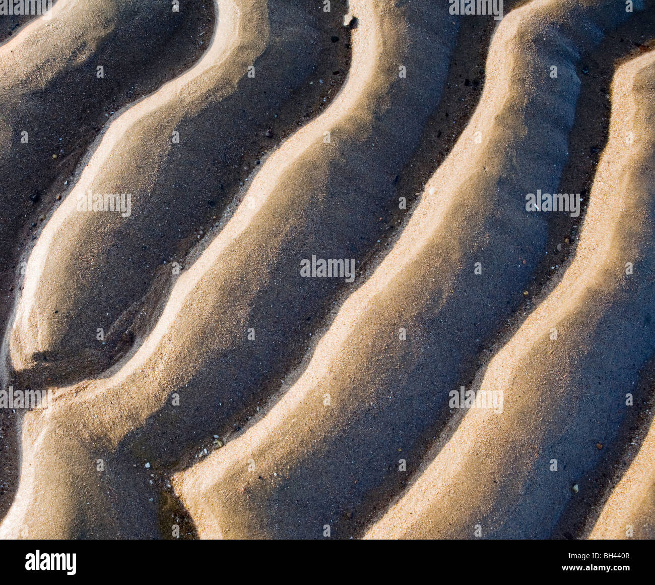 What Is A Sand Ridge at Tommy Bautista blog