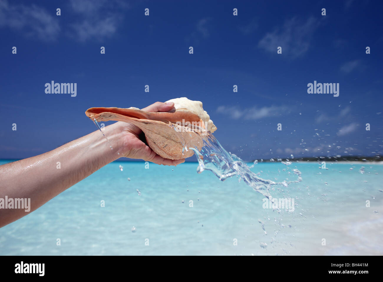 Man's hand pouring water from a large sea shell on a deserted tropical ...