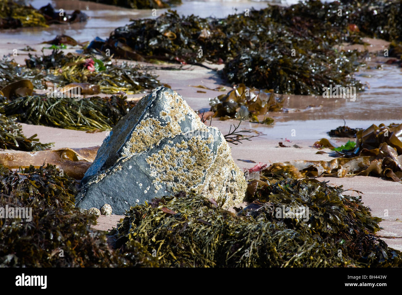 Clashnessie coast hi-res stock photography and images - Alamy