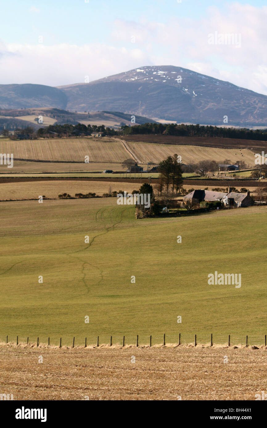 A lone farm surrounded by fields with a mountain in the distance Stock ...