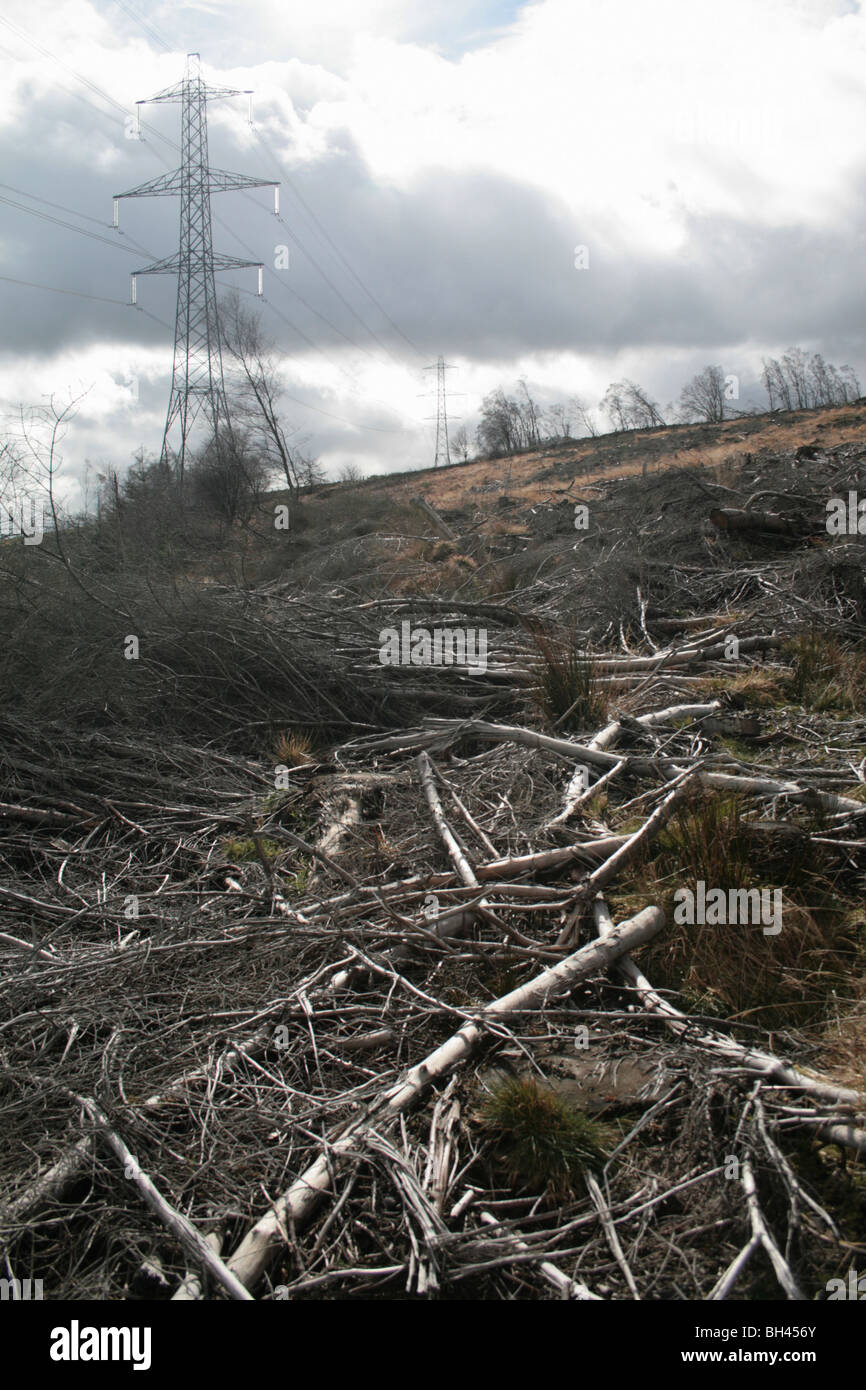 A pylon looms above deforested land Stock Photo - Alamy