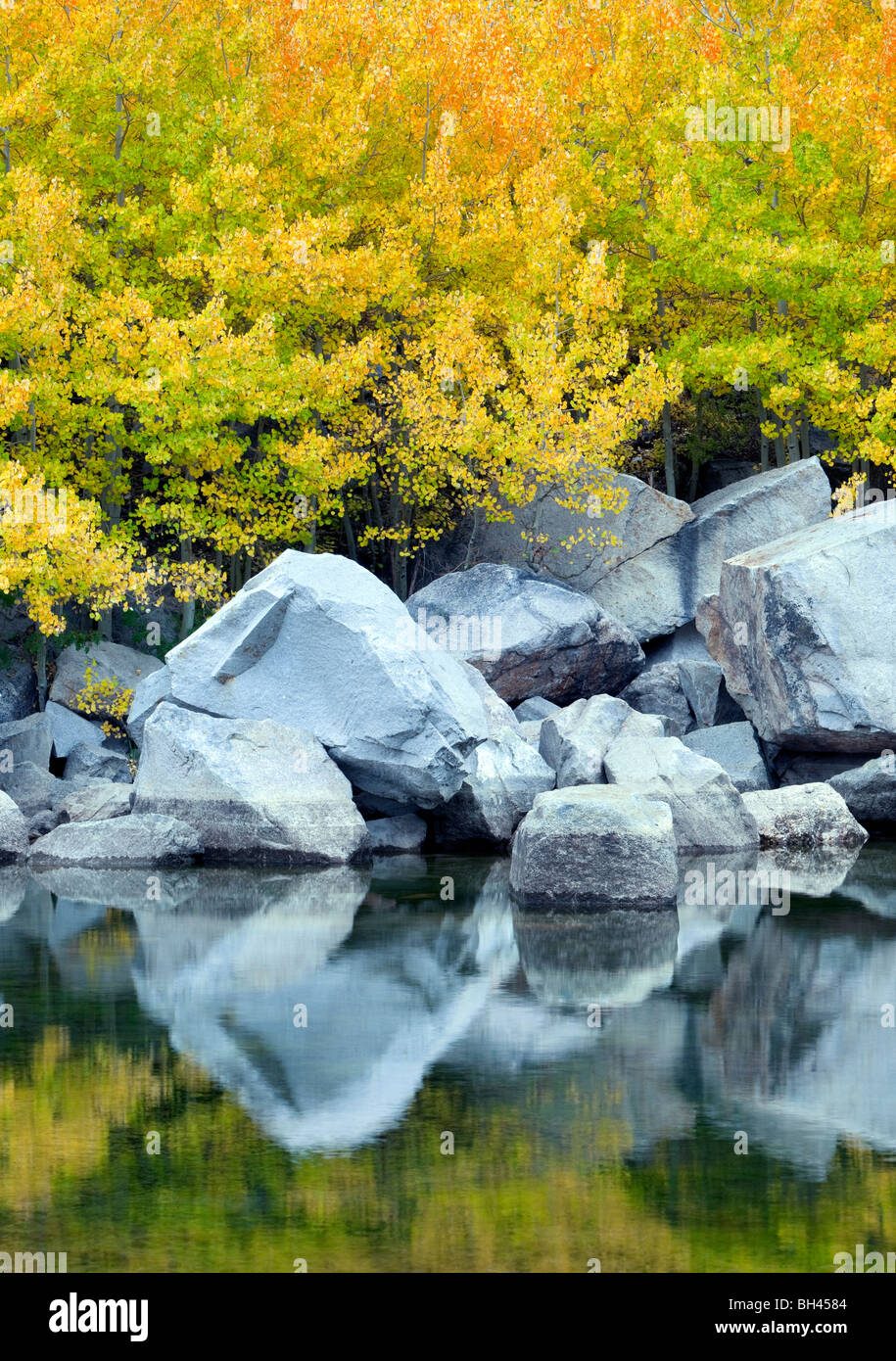 Fall cardinal hi-res stock photography and images - Alamy