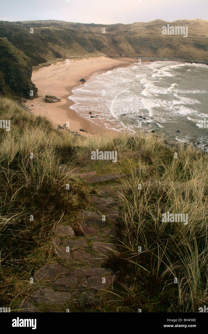 Forvie sands dunes hi-res stock photography and images - Alamy