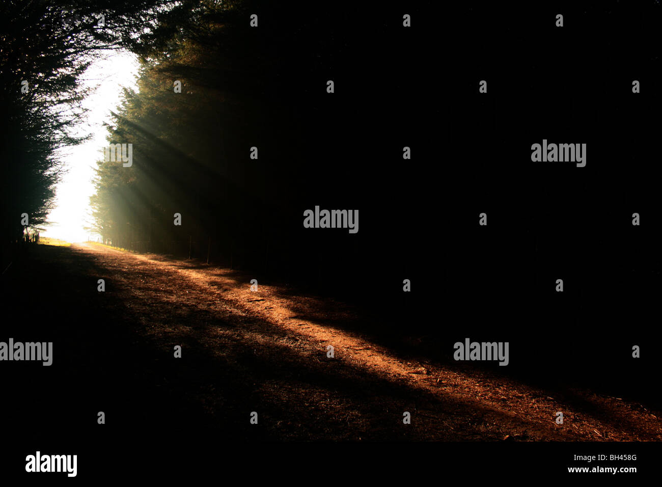 Shaft of light hi-res stock photography and images - Alamy