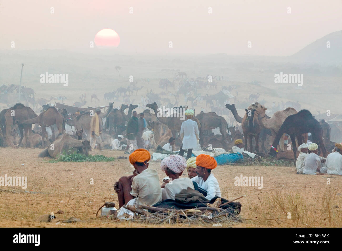 Pushkar fare hi-res stock photography and images - Alamy