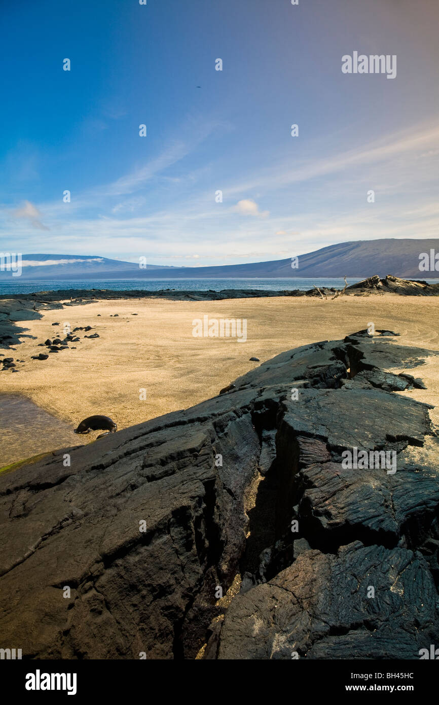Fernandina island galapagos landscape hi-res stock photography and ...