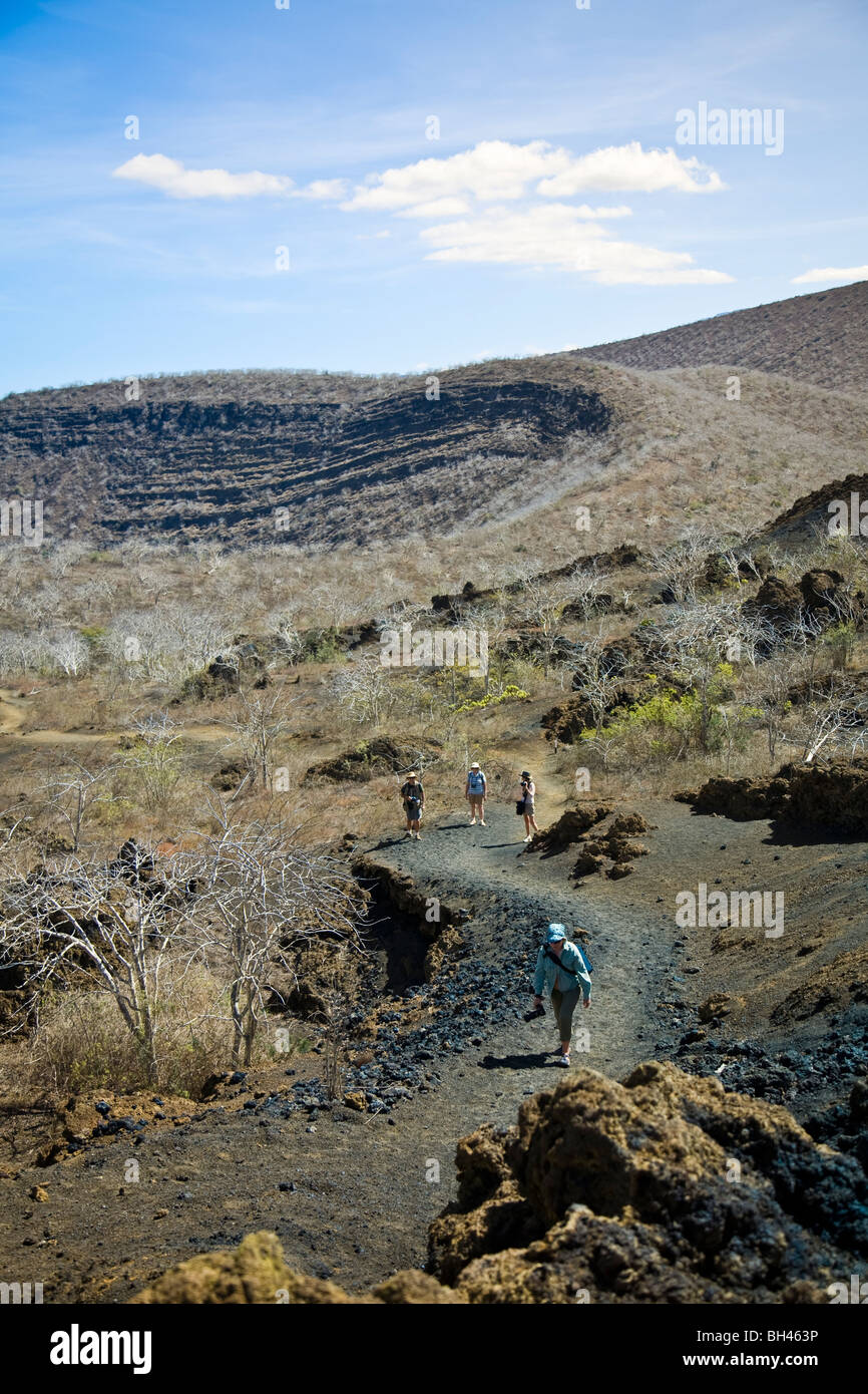 Isabela Island Galapagos Islands Ecuador Stock Photo - Alamy