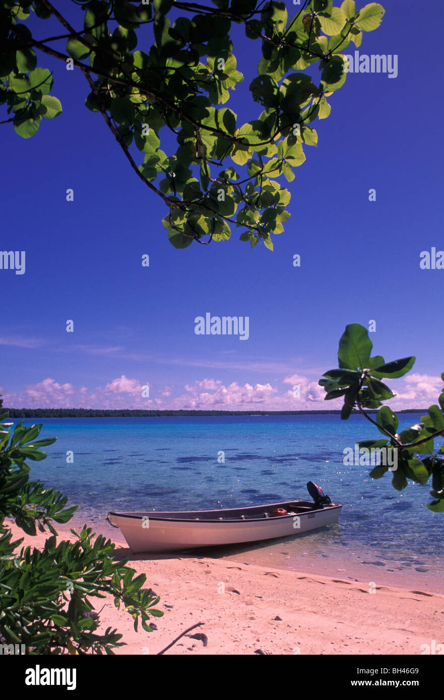 Pohnpei High Resolution Stock Photography and Images - Alamy