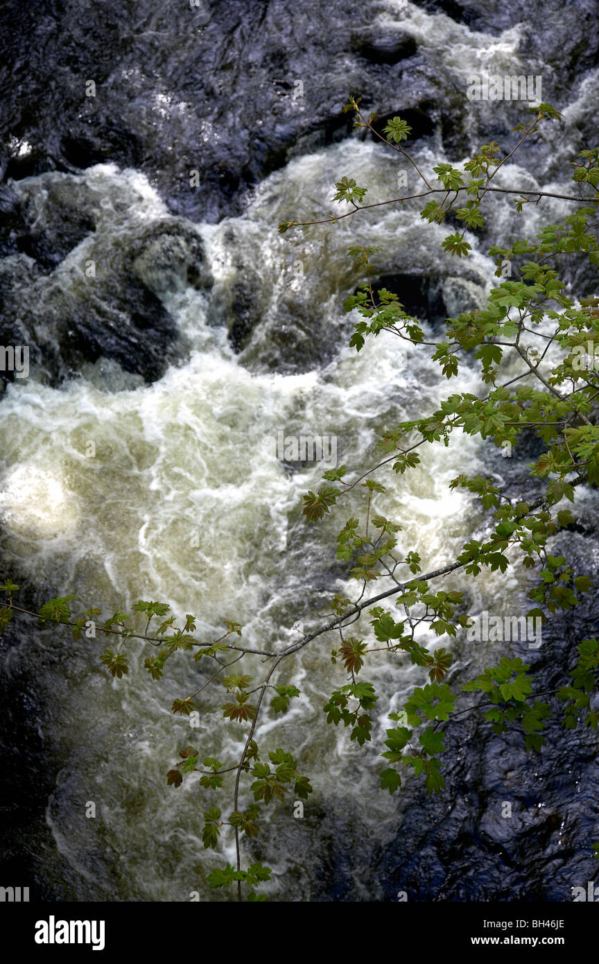 River Deveron gorge at Huntly Stock Photo - Alamy