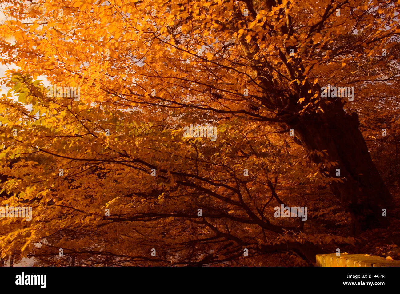 Danbury lakes hi-res stock photography and images - Alamy