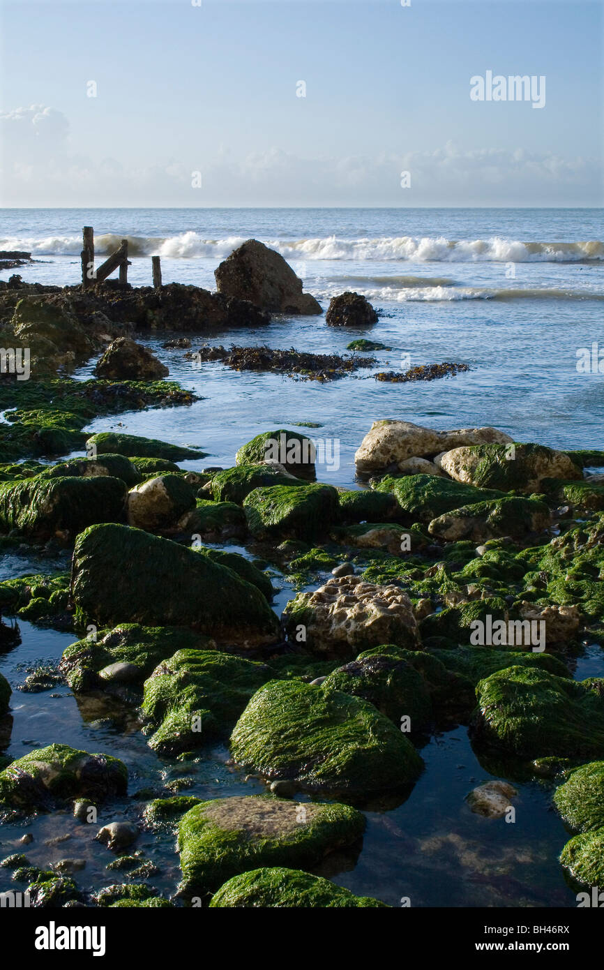 Kent in summer hi-res stock photography and images - Alamy