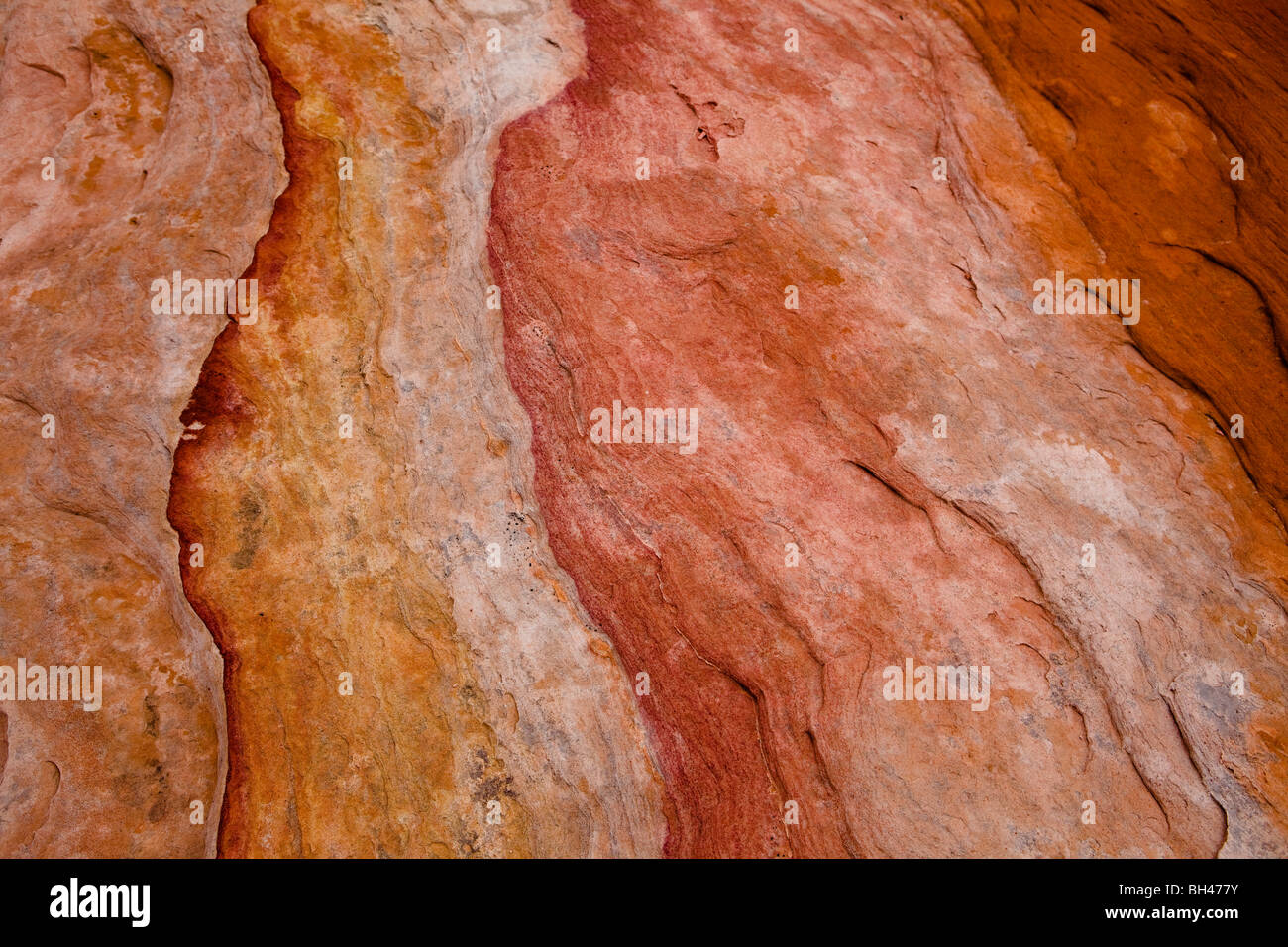 Sandstone textures, Valley of Fire State Park, Nevada, USA Stock Photo ...
