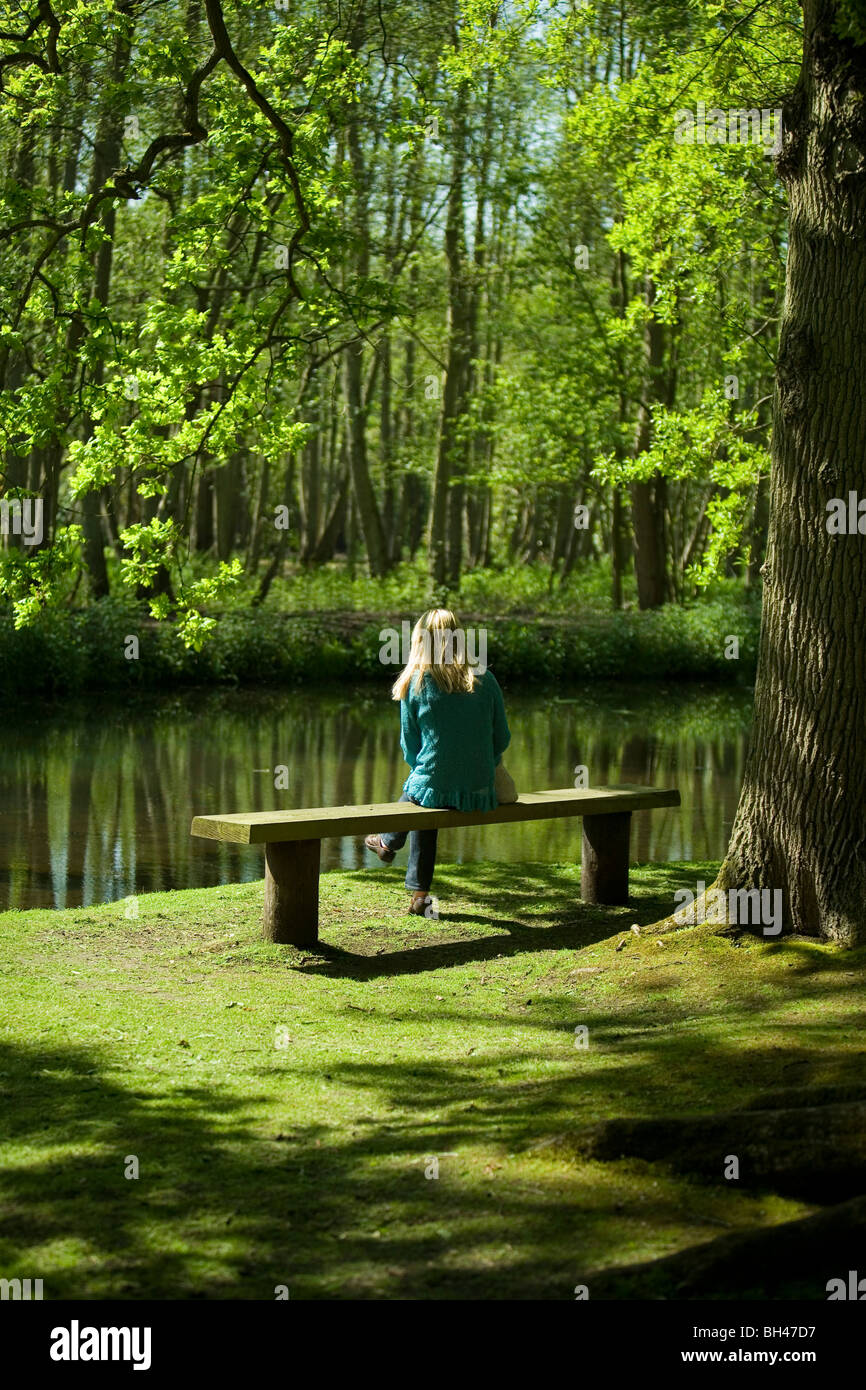 Lady on bench in Norfolk woodland in spring Stock Photo - Alamy