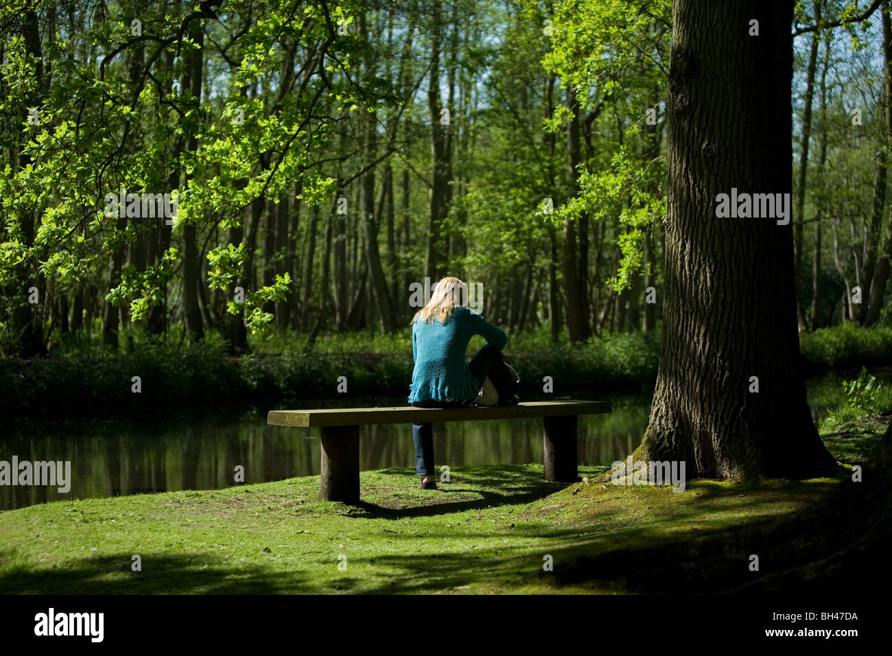 Woodland bench hi-res stock photography and images - Alamy