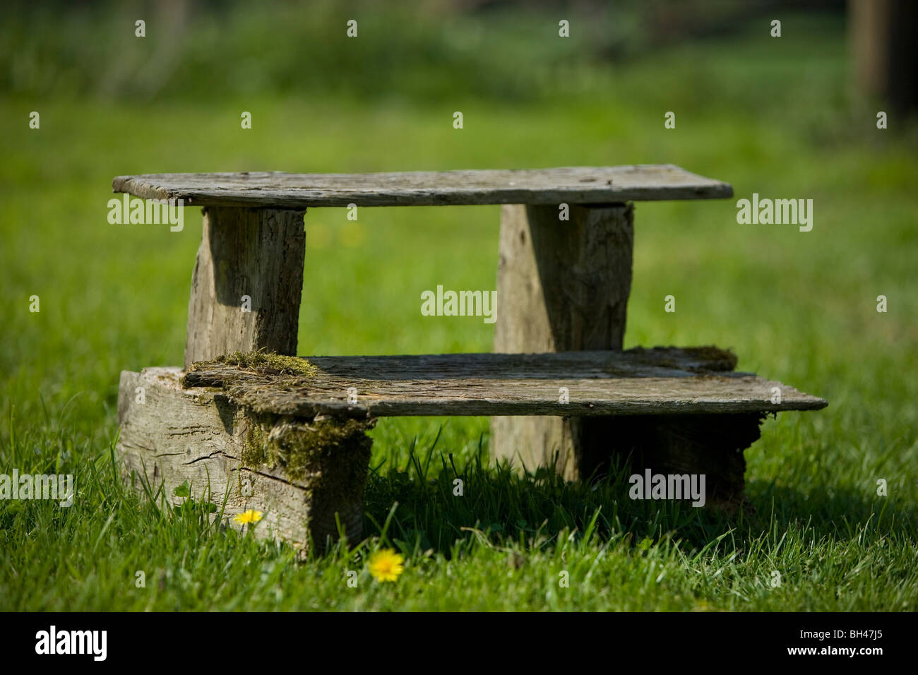Old bench in garden in spring Stock Photo - Alamy