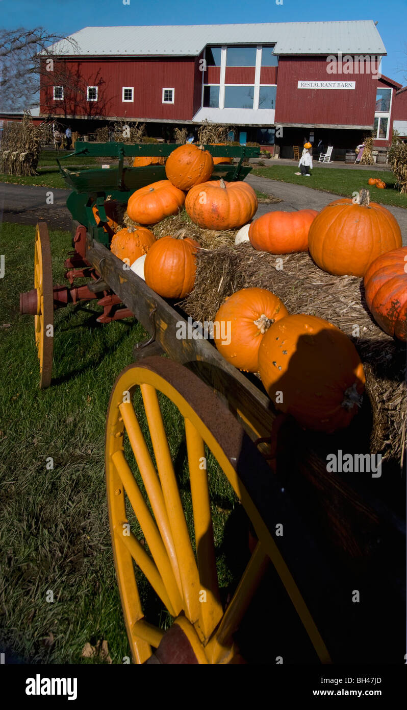 The Restaurant Barn at Amish Acres in Nappanee, Indiana Stock Photo - Alamy