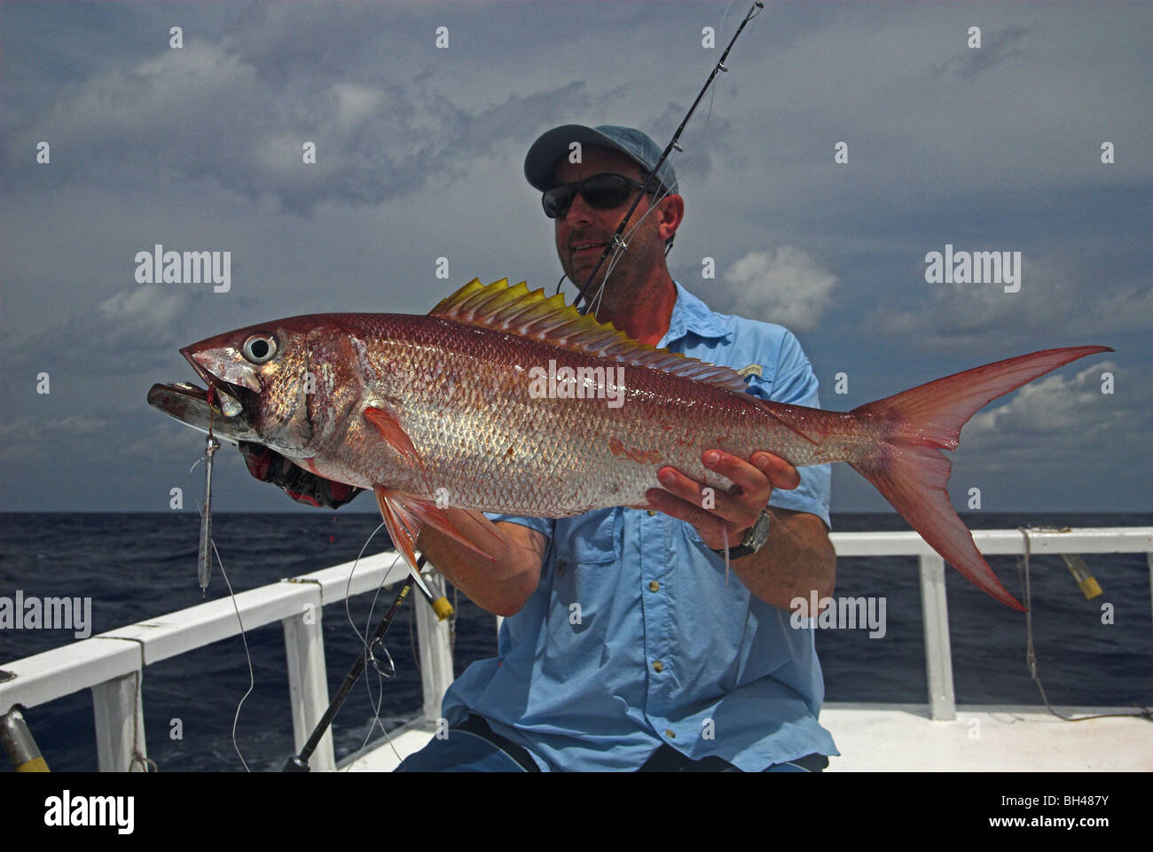 A rosy job fish caught jigging over a reef off the Maldives Stock Photo ...
