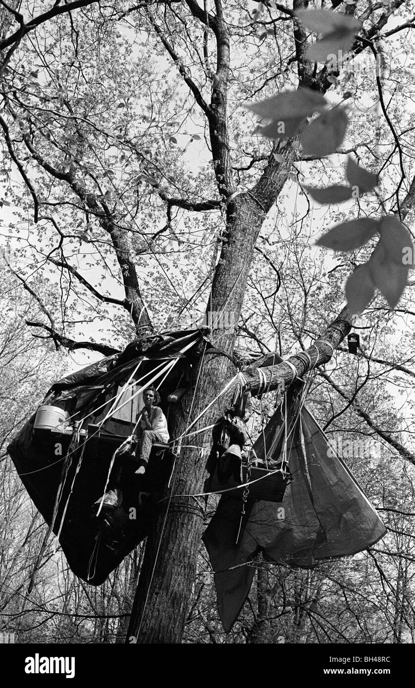 Cut down forest in Black and White Stock Photos & Images - Alamy