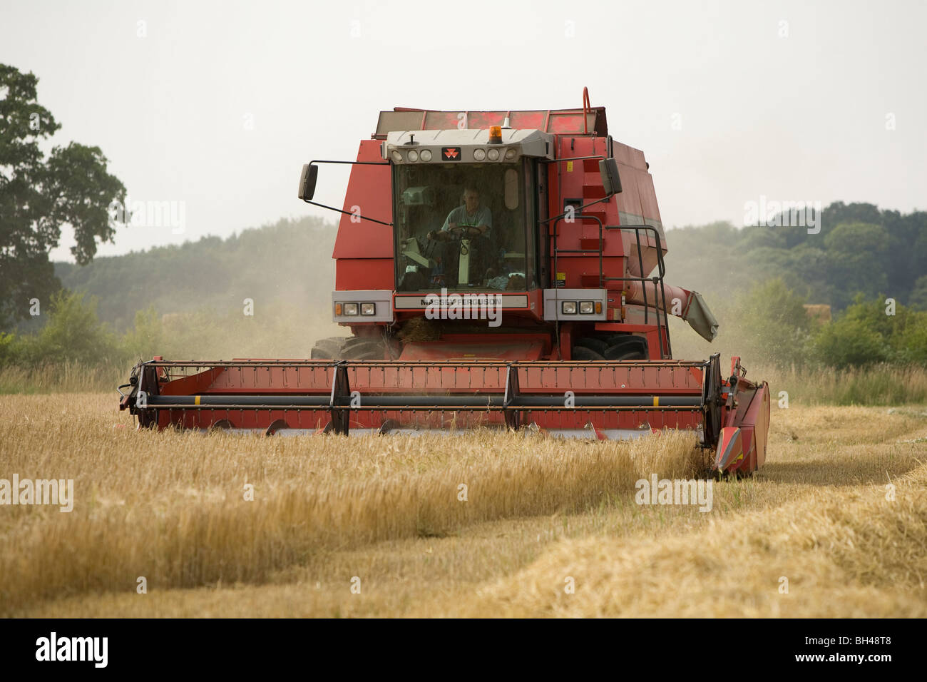 Combine harvester combining barley in hi-res stock photography and ...